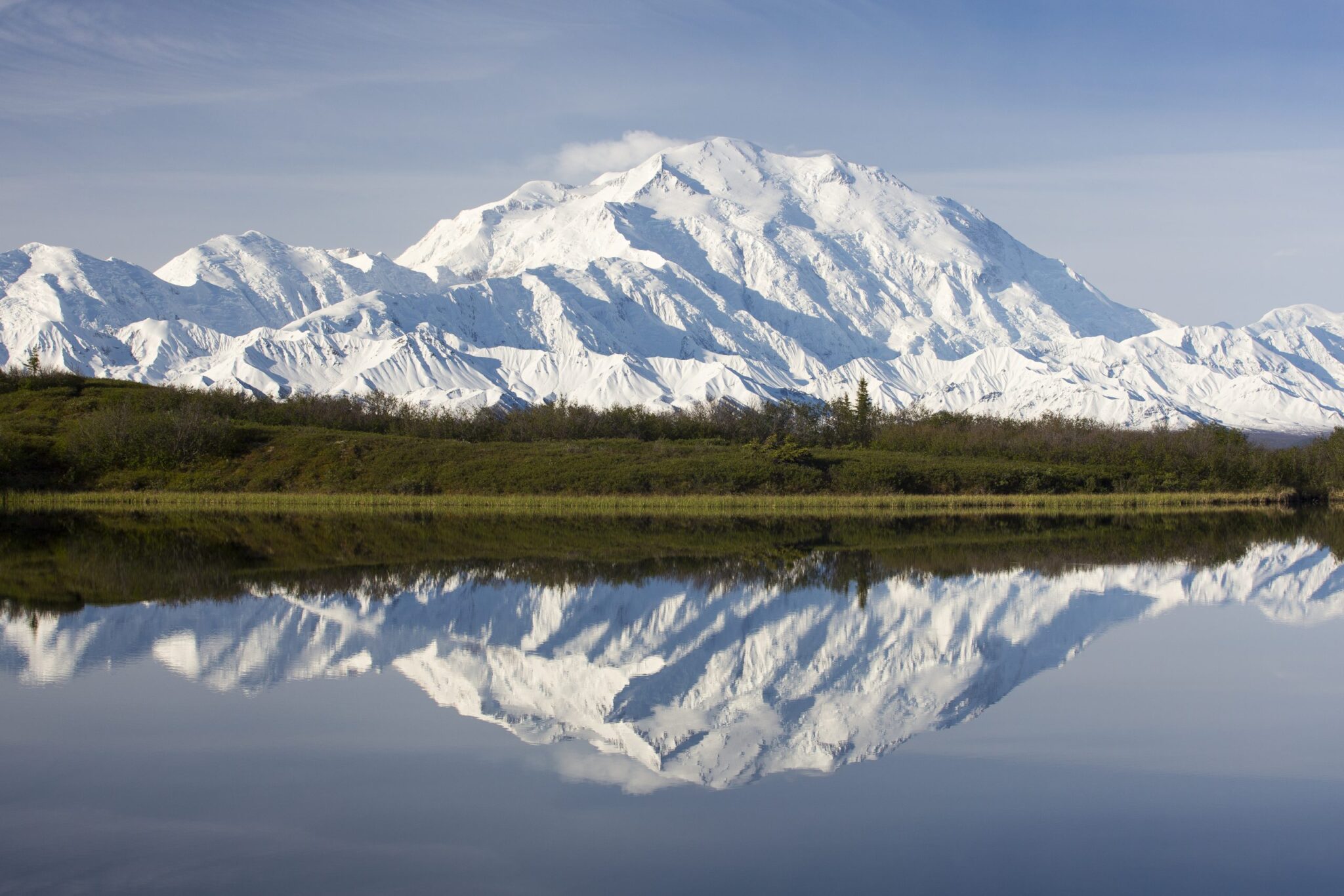 Denali Reflection - Alaska Wildlife Images